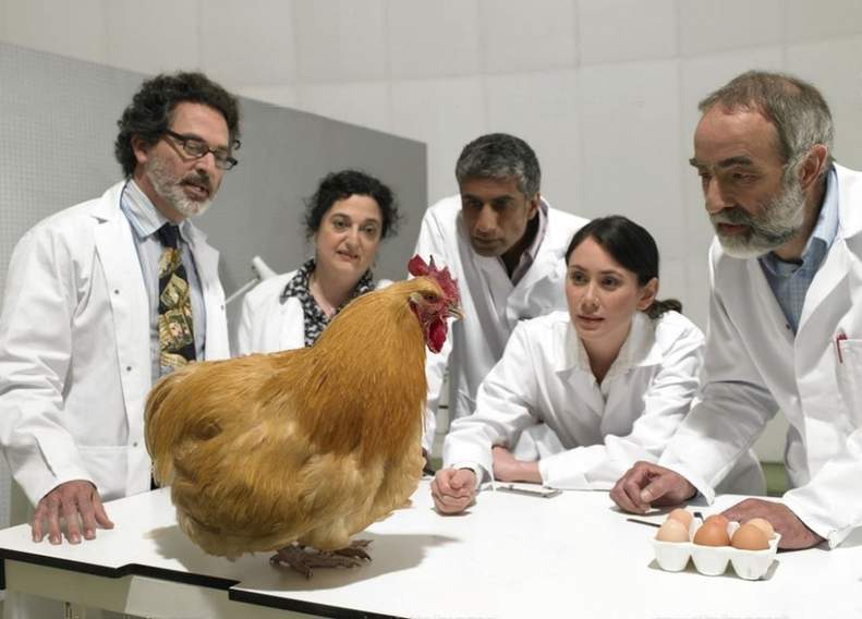 Animal Geneticist Job Description: Salary, Duties, Career & More