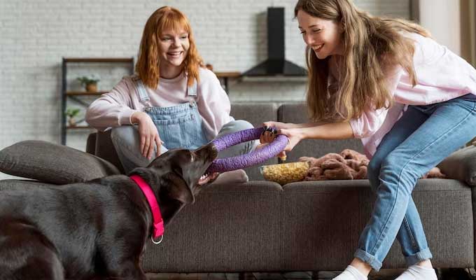 Pet Sitter Resume Example & Writing Guide - MEGA Pet Sitter Resume Example & Writing Guide - MEGA